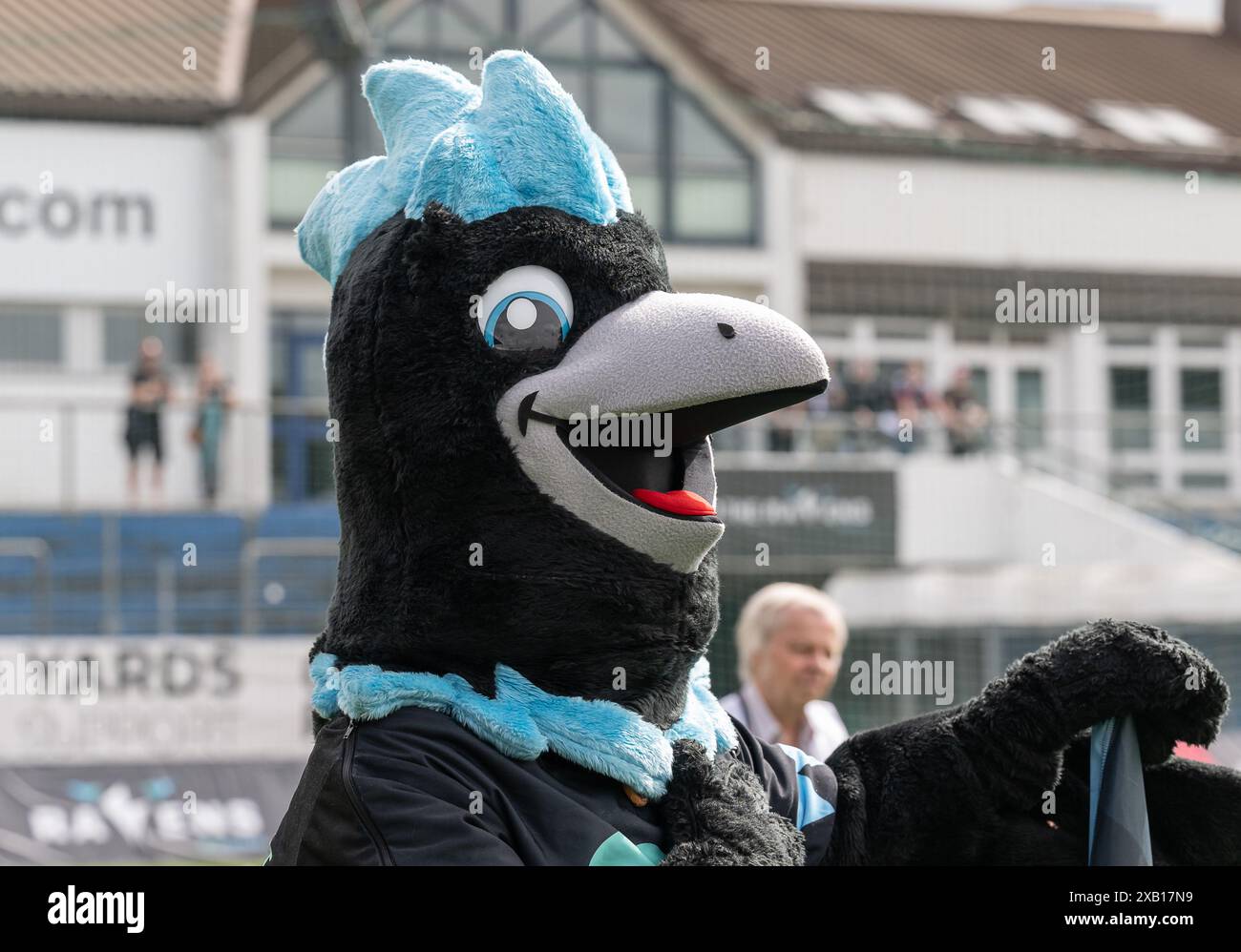 Maskottchen Dave the Rave (Munich Ravens). Munich Ravens gegen Prague ...