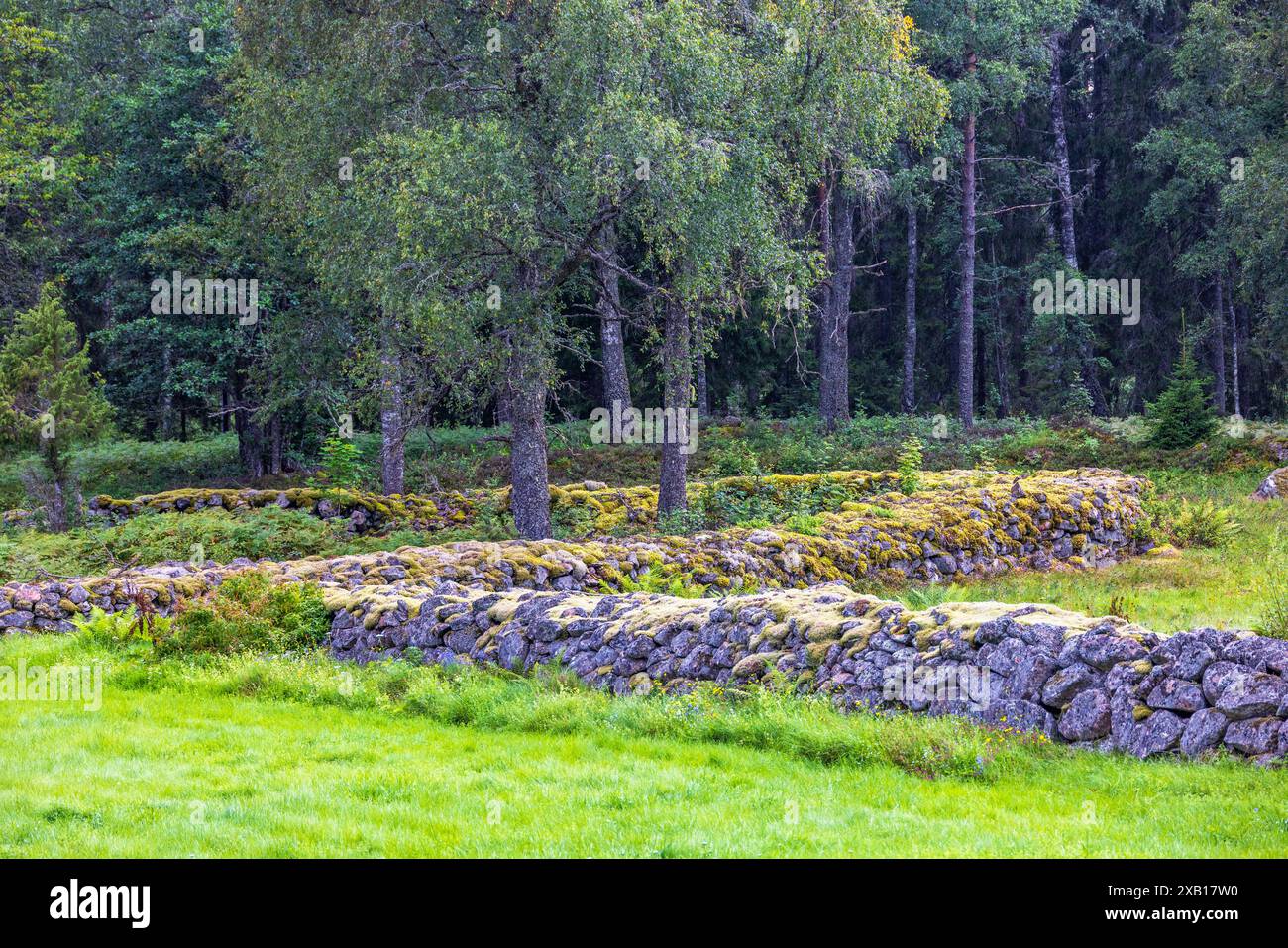 Cultural landscape with old stone walls in the countryside Stock Photo ...