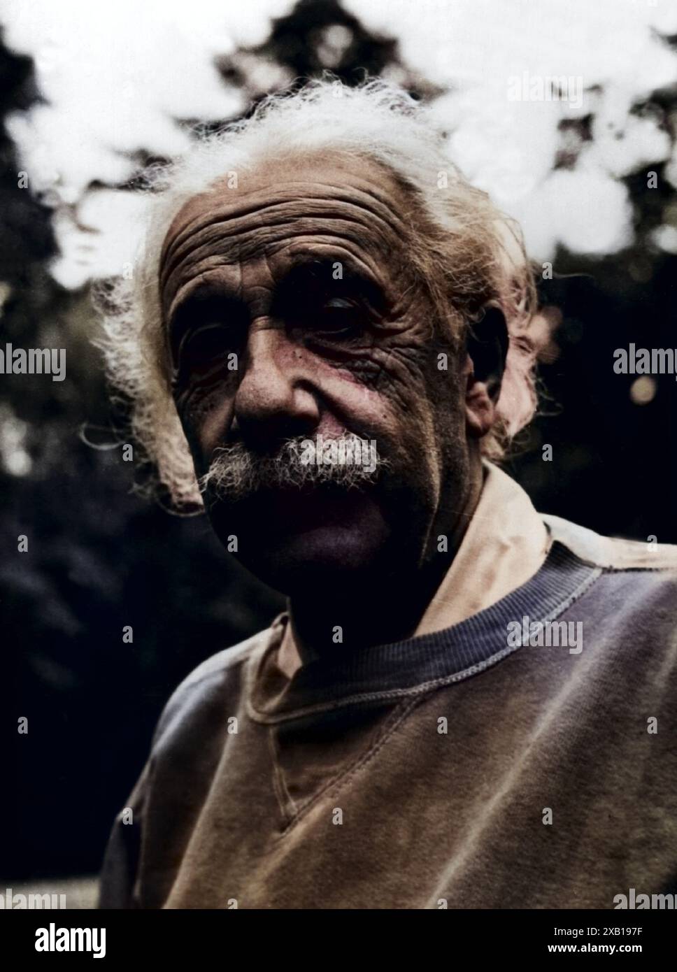 Einstein Without Mustache Ask Einstein: A Digitalized Version Of The