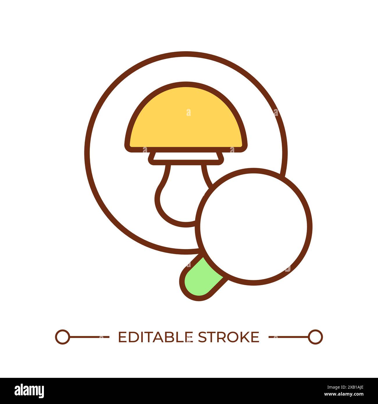 Mushroom identification RGB color icon Stock Vector Image & Art - Alamy