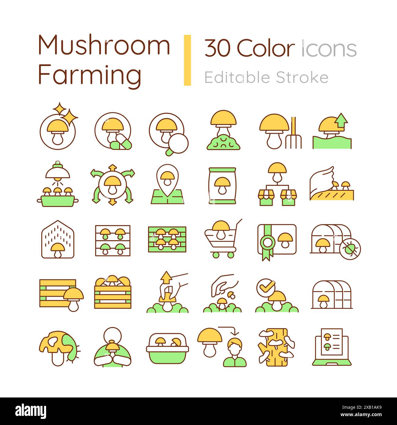 Mushroom farming RGB color icons set Stock Vector Image & Art - Alamy