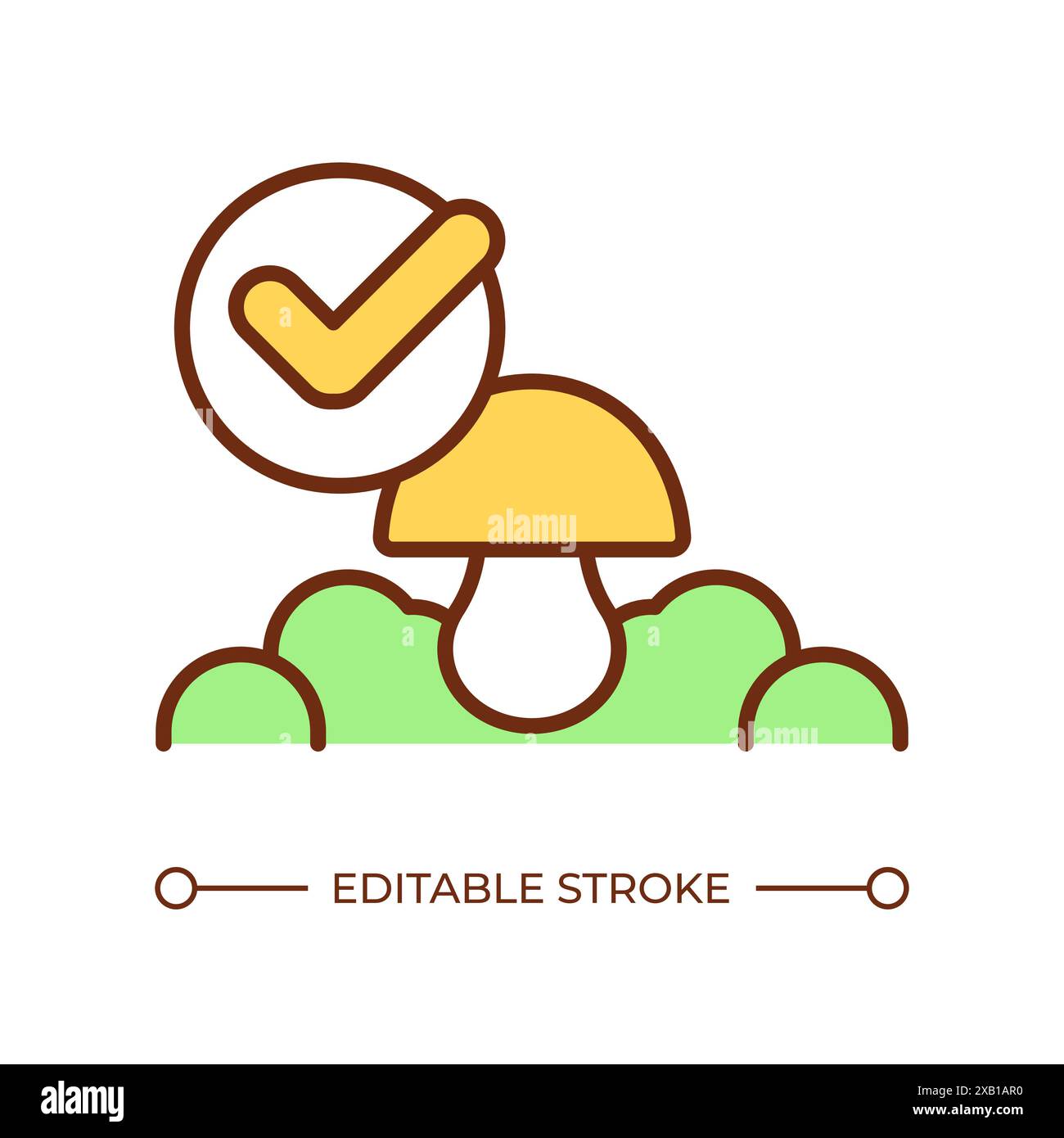 Edible mushrooms RGB color icon Stock Vector Image & Art - Alamy