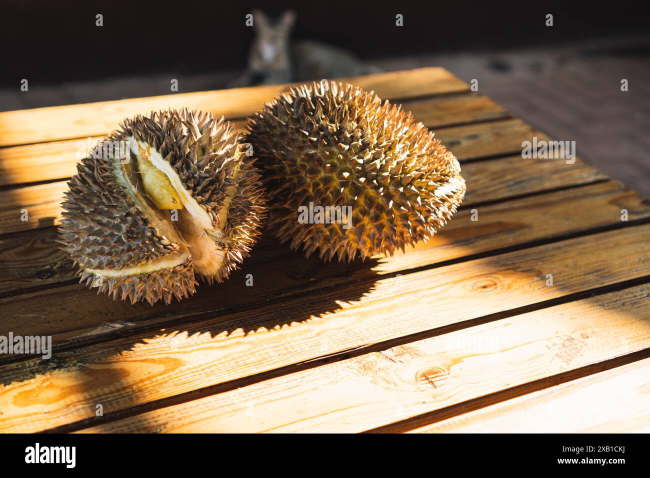 Opening durian hi-res stock photography and images - Alamy