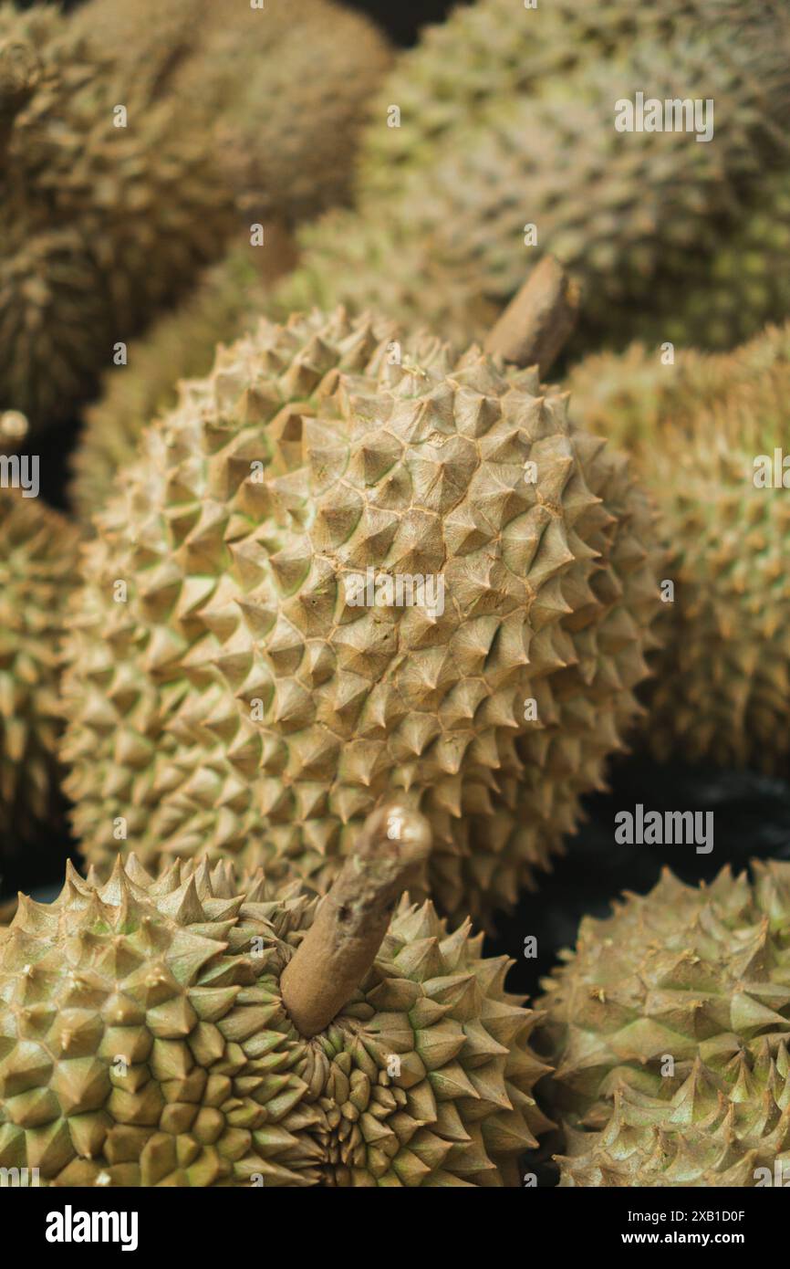 durian, fruit with full of thorn or spike in their outer skin, closed ...