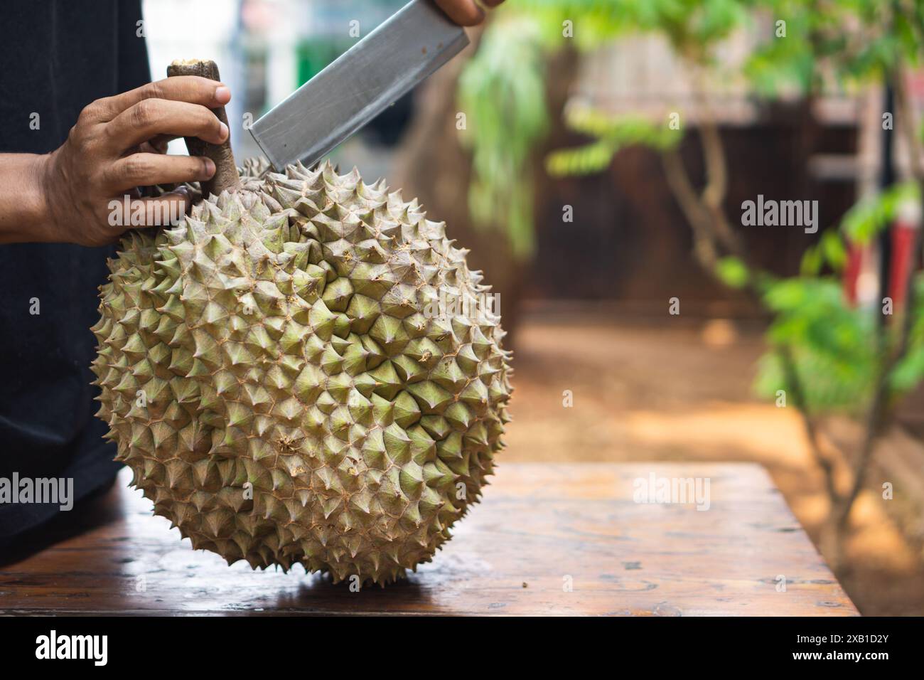 man try to open or cutting durian fruit with a sharp knife Stock Photo ...