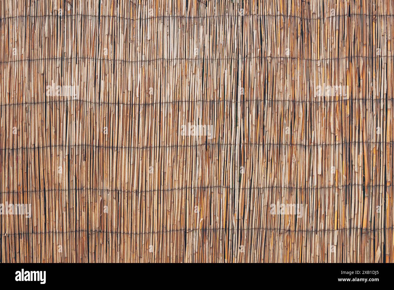 Reed straw fencing background and texture, old worn surface with ...