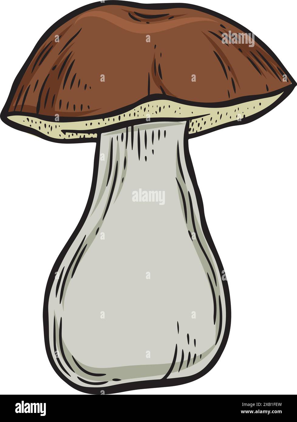 Porcini mushroom line drawing isolated on white background Stock Vector ...