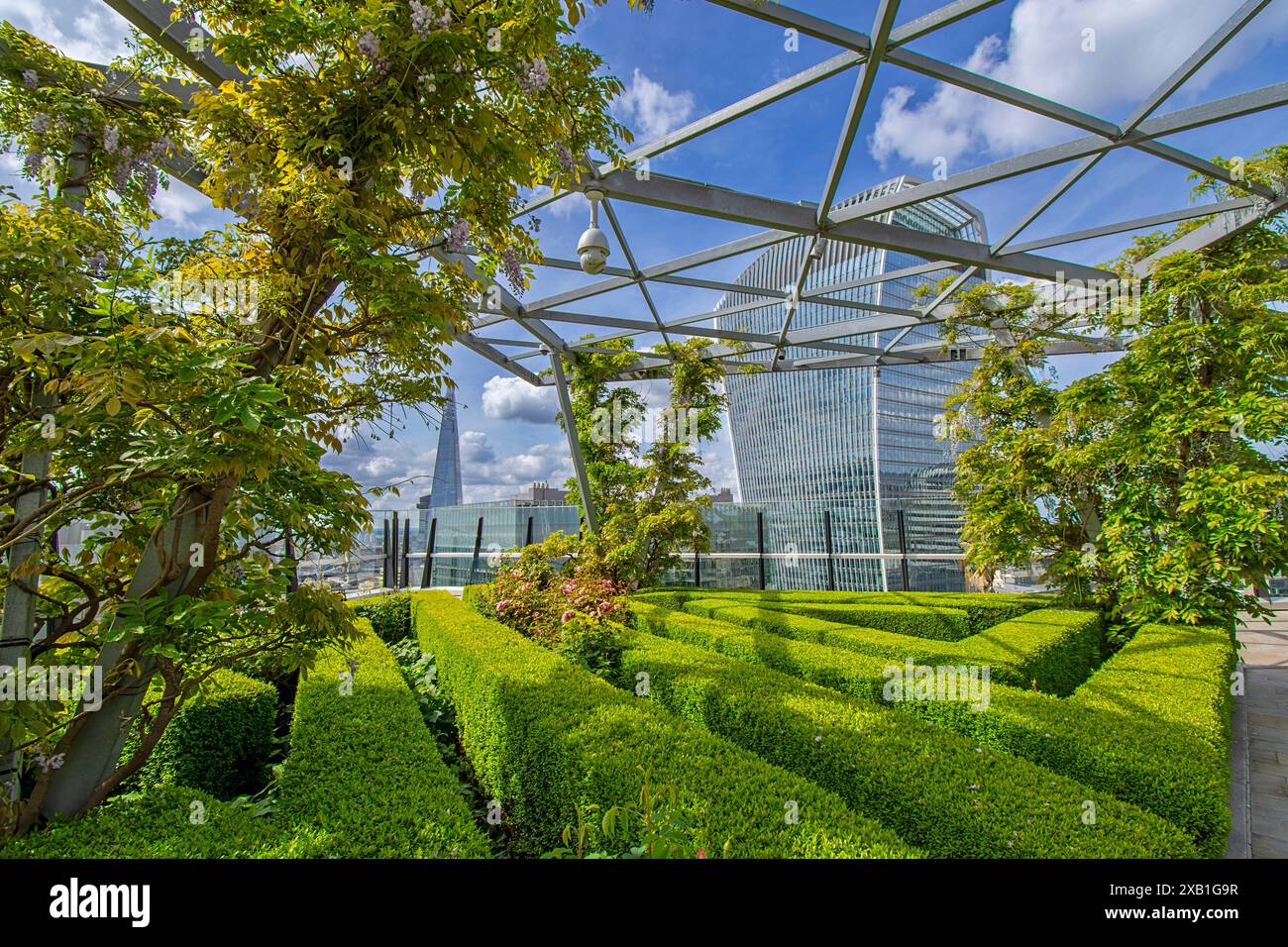 The Garden at 120 Fenchurch Street London wisteria flowers and ...