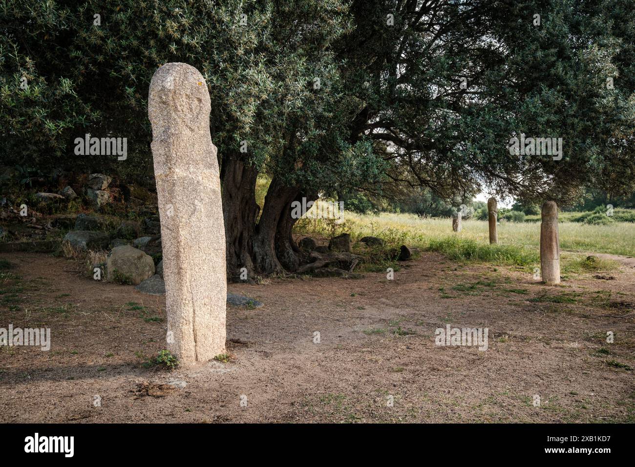 Prehistoric standing stones or Menhirs at Filitosa in Corsica Stock ...
