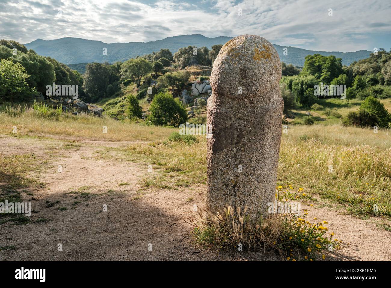A prehistoric standing stone or Menhir at Filitosa in Corsica Stock ...