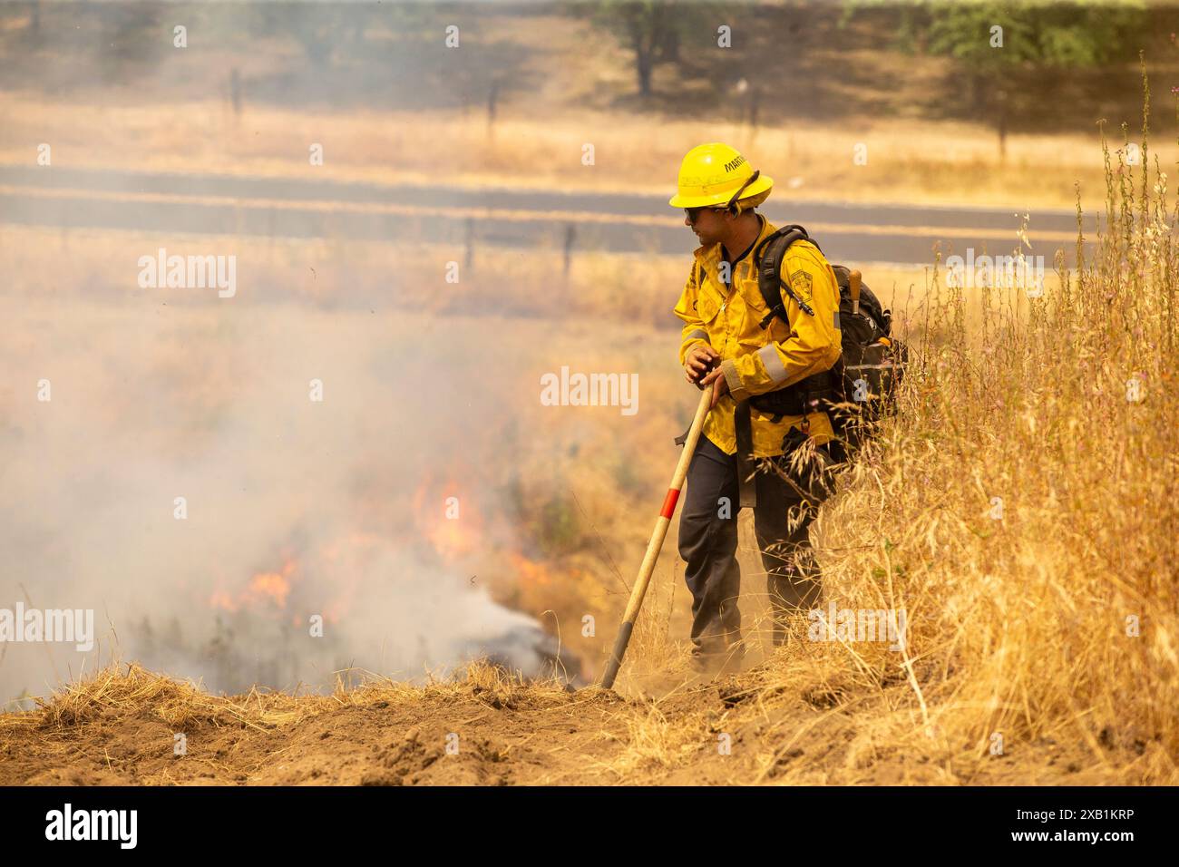 Waterford, Ca, USA. 8th June, 2024. Calfire SCU firefighter Martinez ...