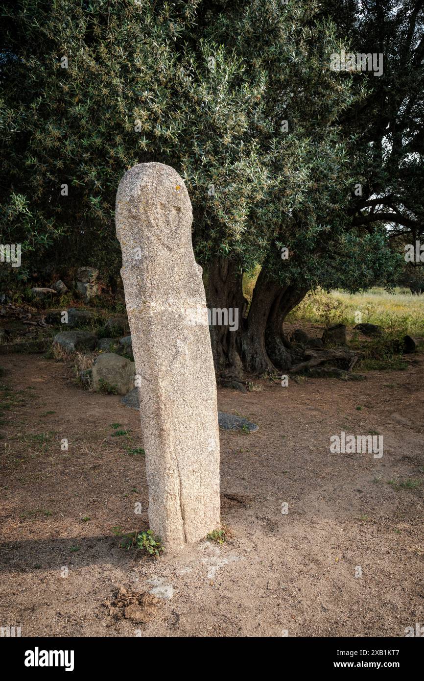 A prehistoric standing stone or Menhir at Filitosa in Corsica Stock ...