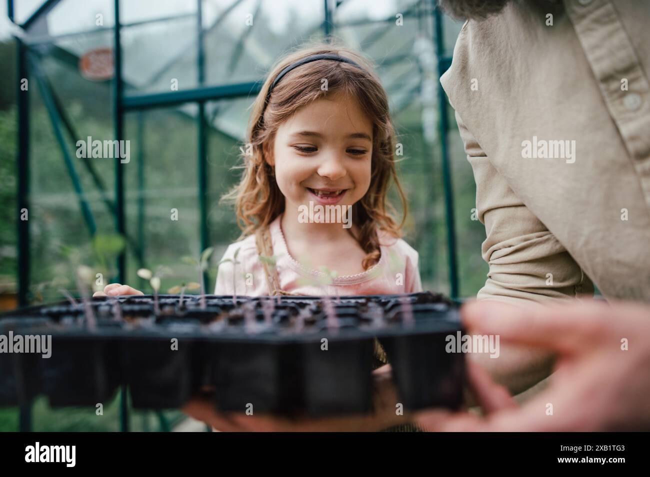 Fater and girl working together in garden, planting seedlings, spending ...