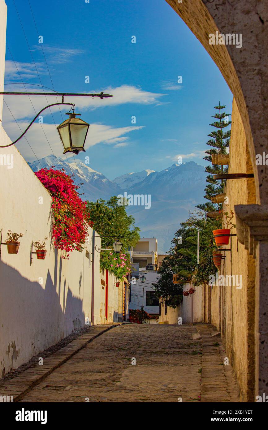 Narrow city street flowers hi-res stock photography and images - Alamy