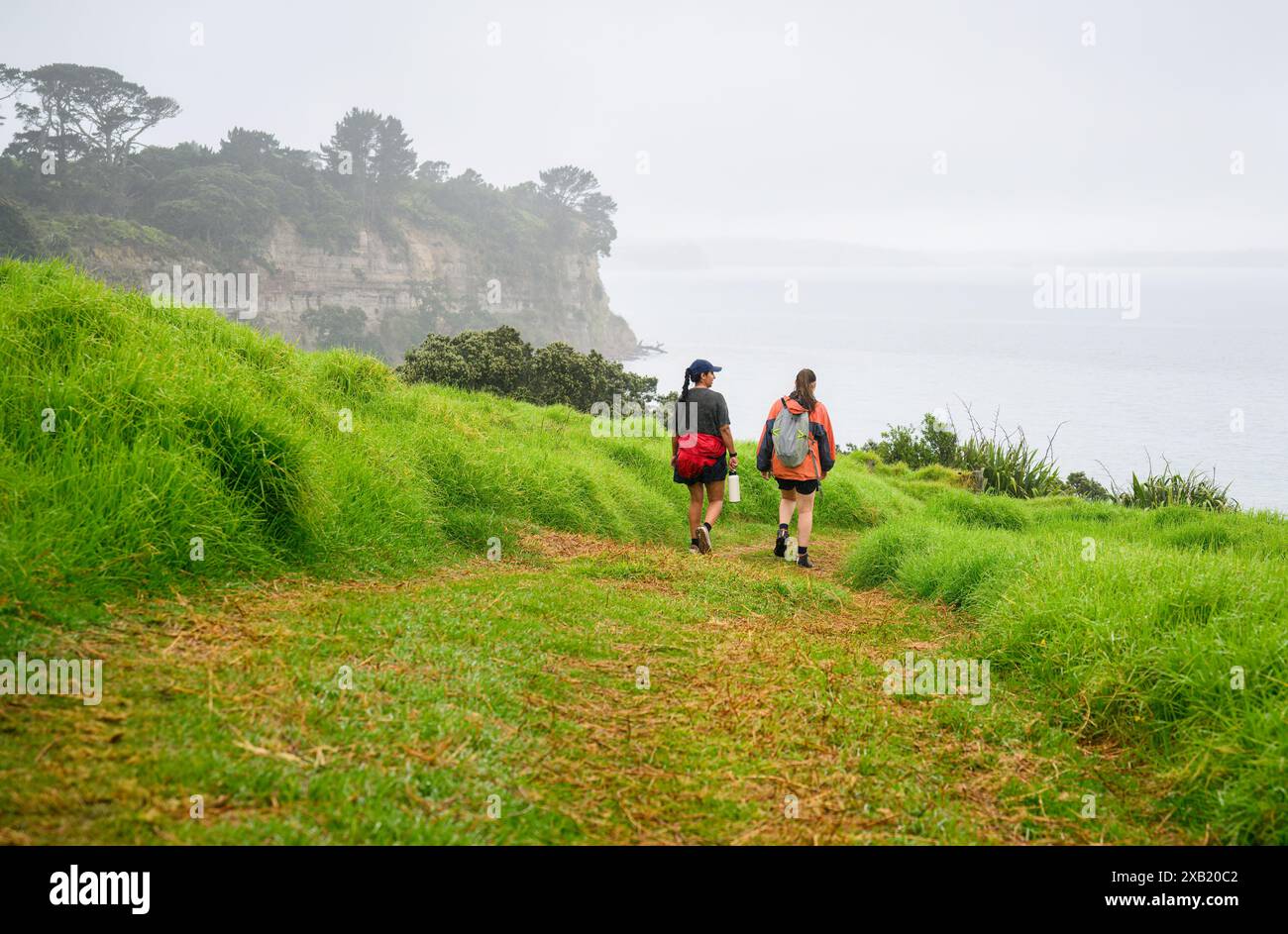 Two women walking the Long Bay coastal Okura Track in the rain. Cliff ...