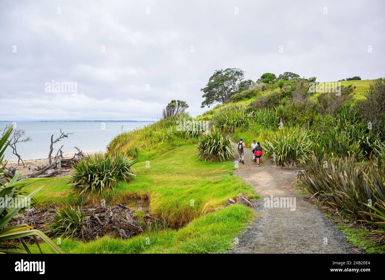 Harakeke hi-res stock photography and images - Alamy