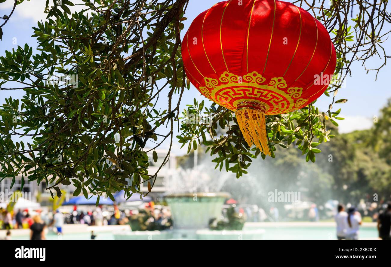 Chinese New Year lantern under the Pohutukawa tree. Unrecognizable ...