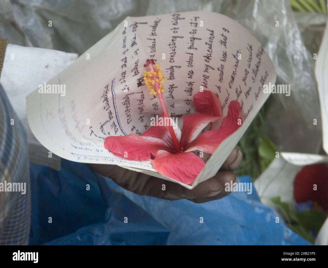 Bangladesh flowers hi-res stock photography and images - Alamy