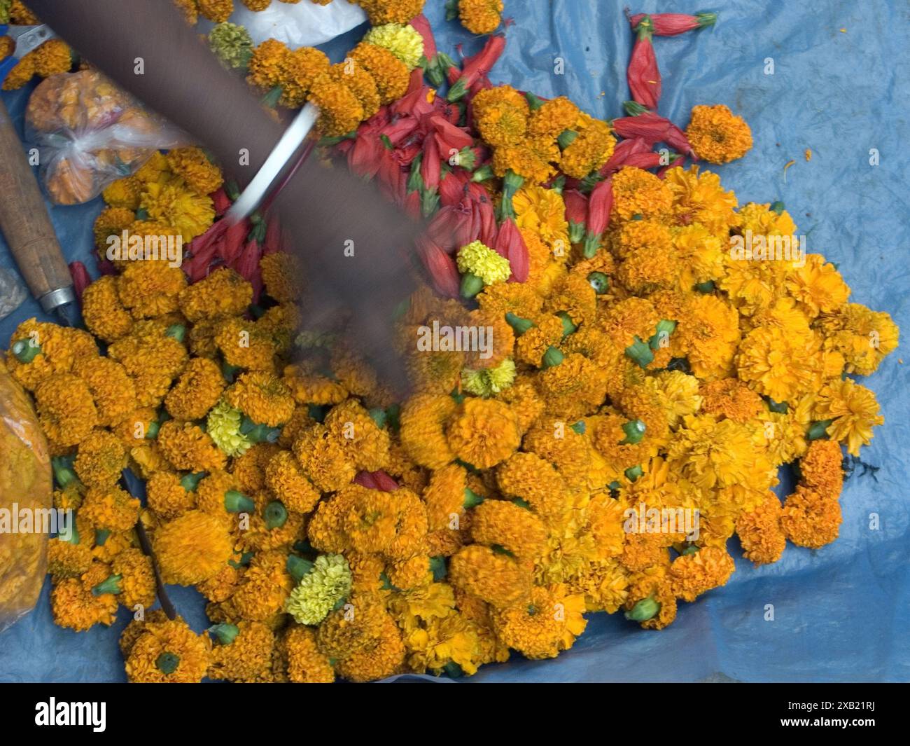 Flower vendors, Dacca, Bangladesh Stock Photo - Alamy