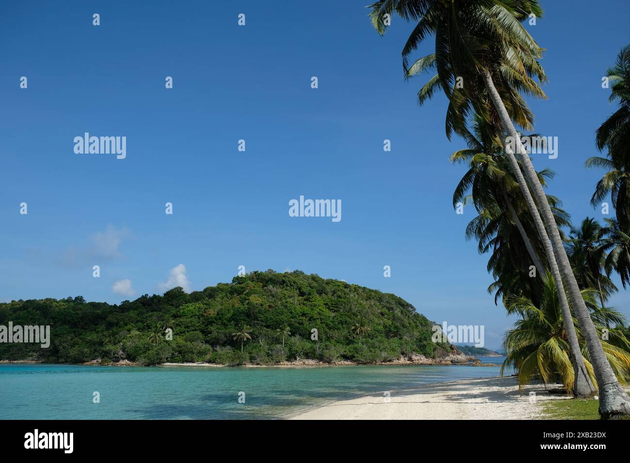 Anambas Islands Indonesia - idyllic beach with huge palm trees Stock ...