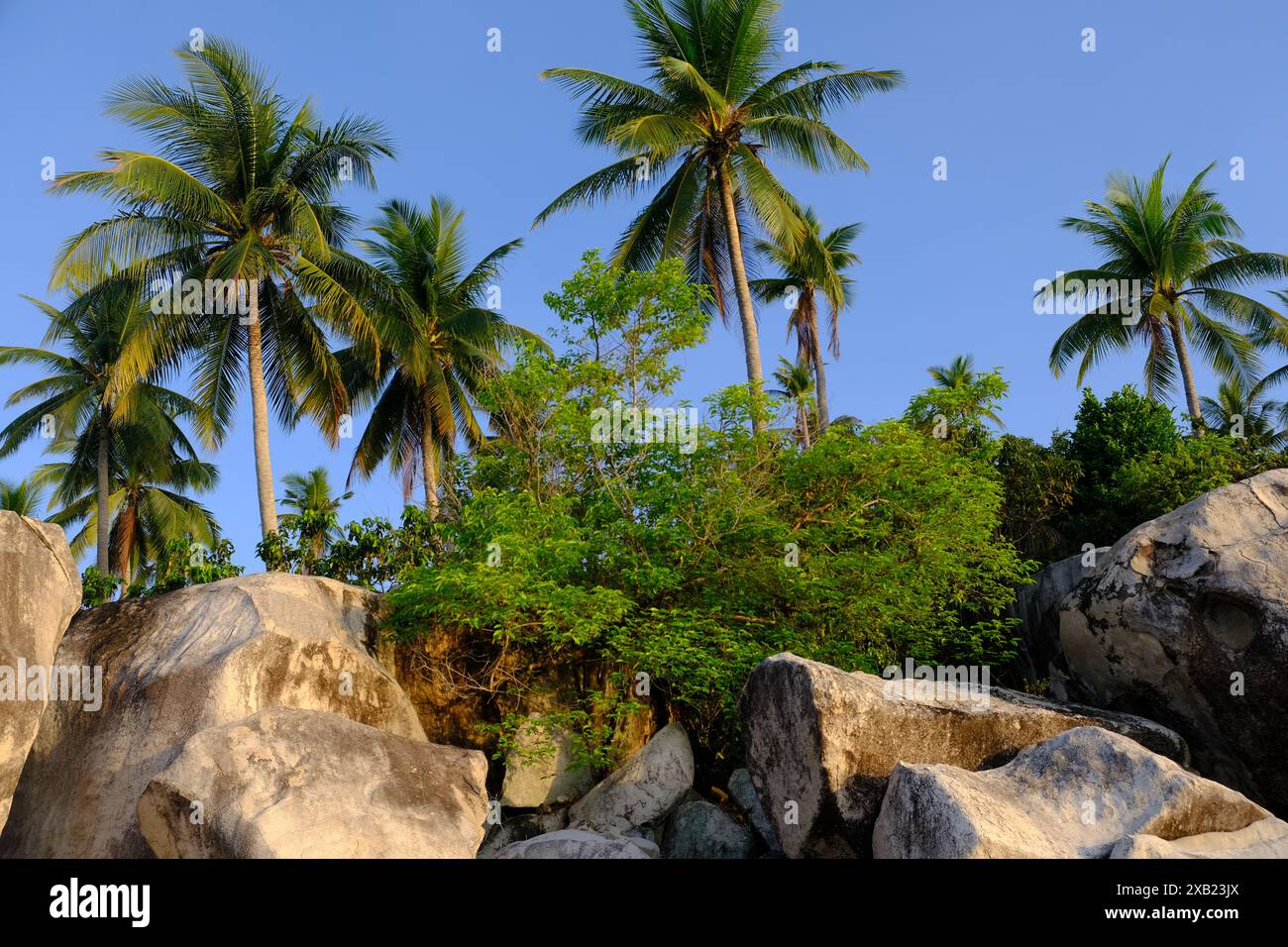 Indonesia Anambas Islands - Telaga Island coast Stock Photo - Alamy