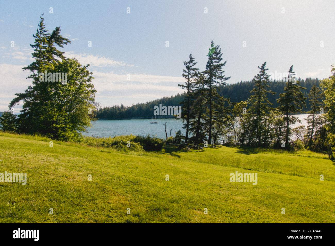 Sailboat anchored in Chuckanut Bay viewed from Woodstock Farm Stock ...