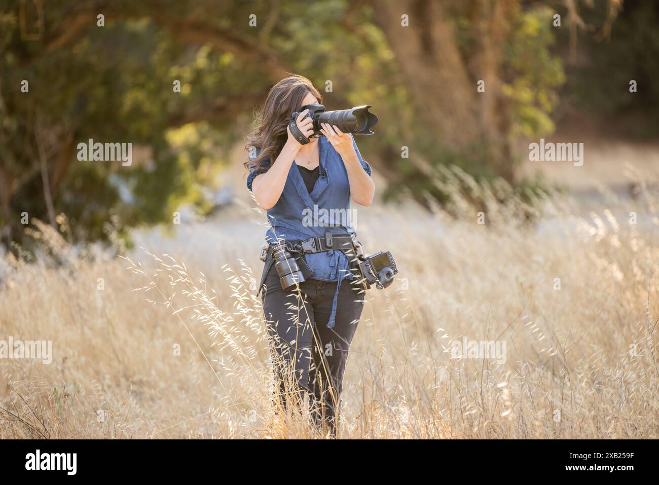 Women taking photos in tall brown grass standing Stock Photo - Alamy