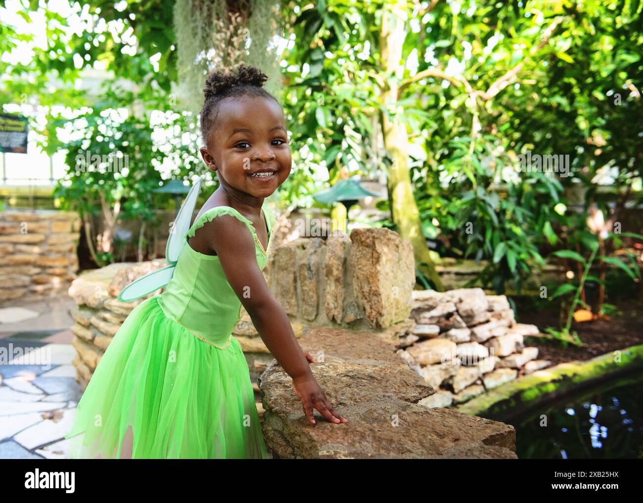 Toddler girl in green fairy costume with wings smiling at camera Stock ...