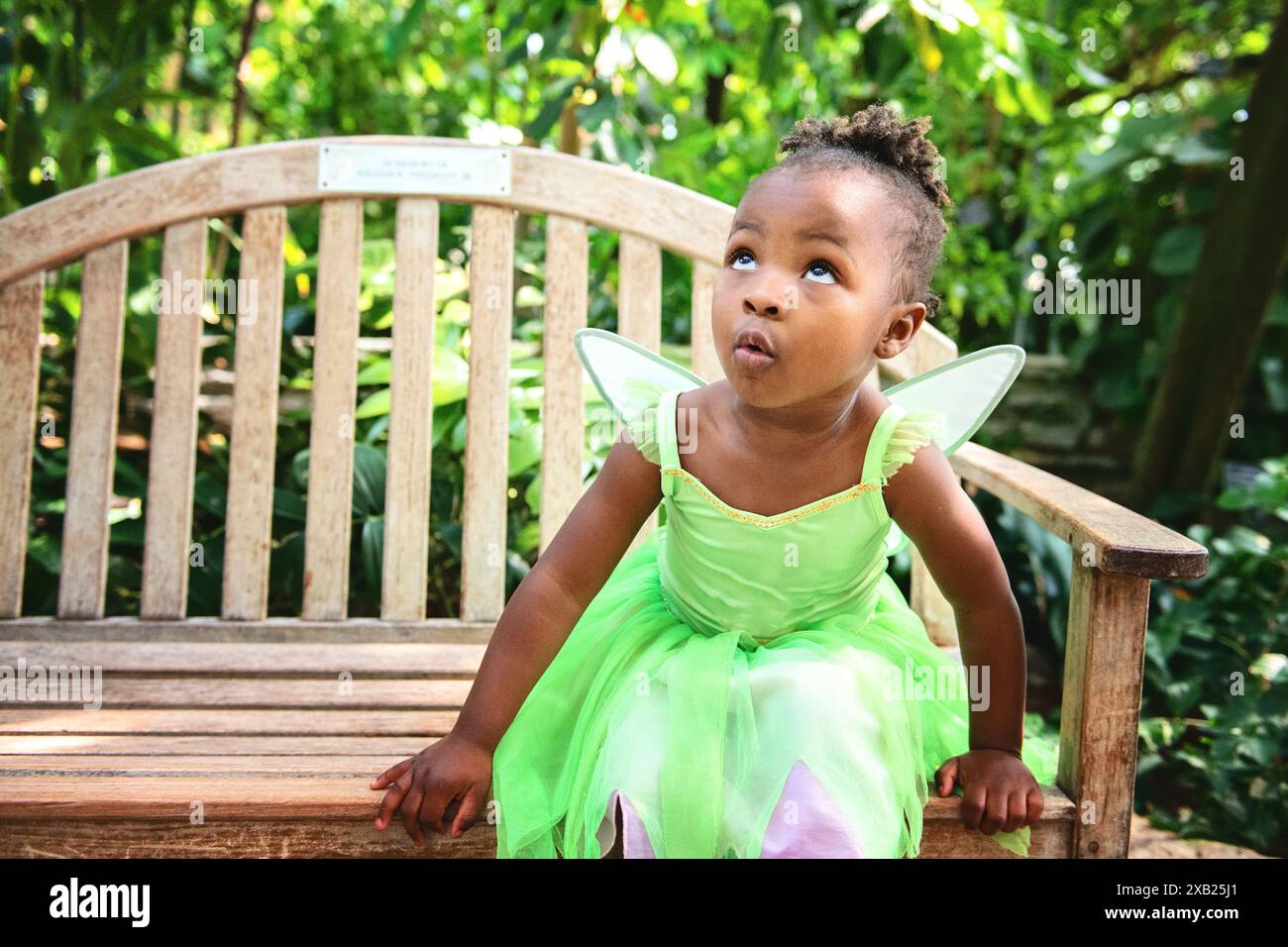 Toddler girl in green fairy costume with wings sitting on bench Stock ...