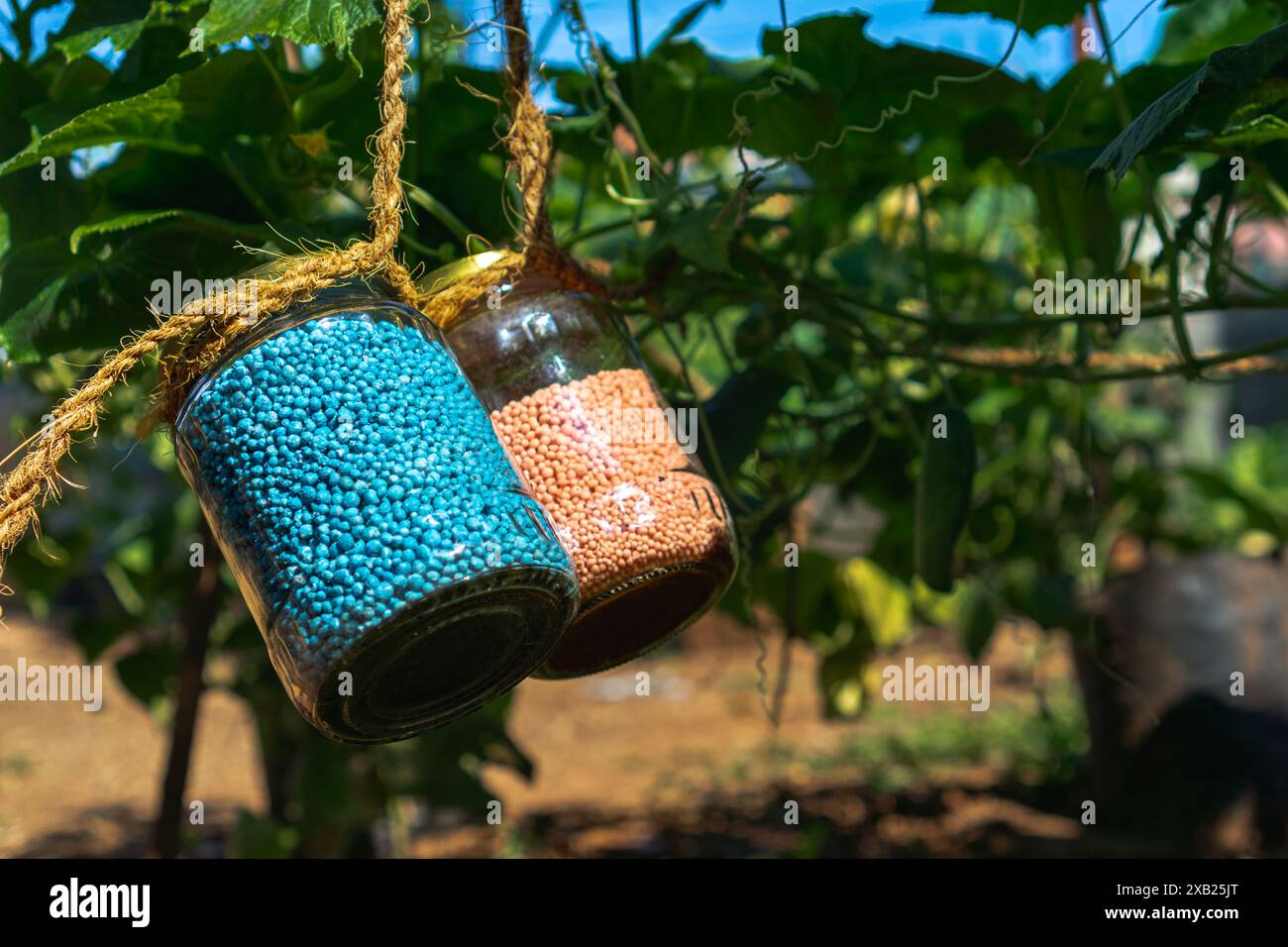 using an inorganic fertilizer for home garden high in nitrogen ...