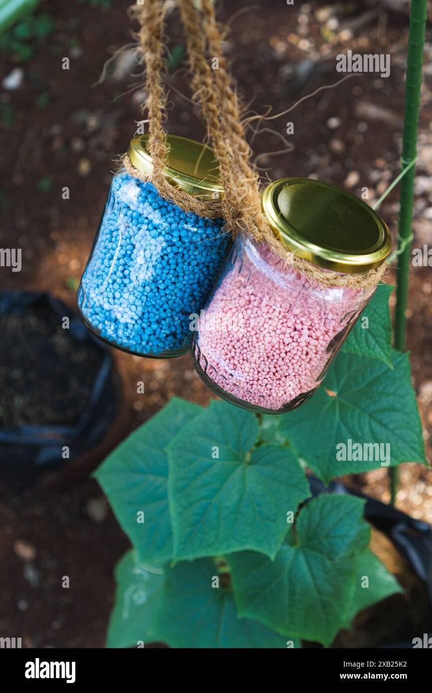 using an inorganic fertilizer for home garden high in nitrogen ...