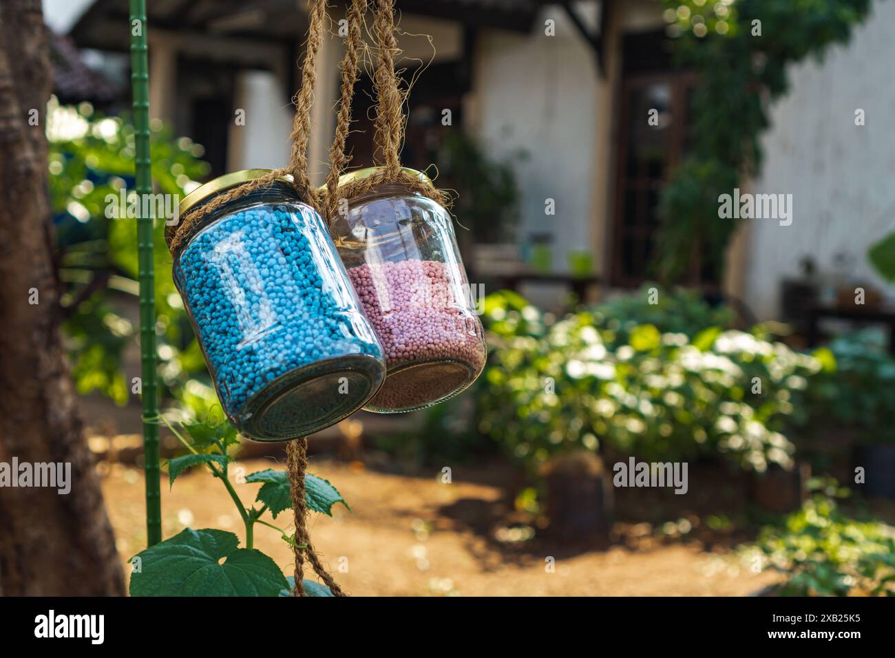 using an inorganic fertilizer for home garden high in nitrogen ...