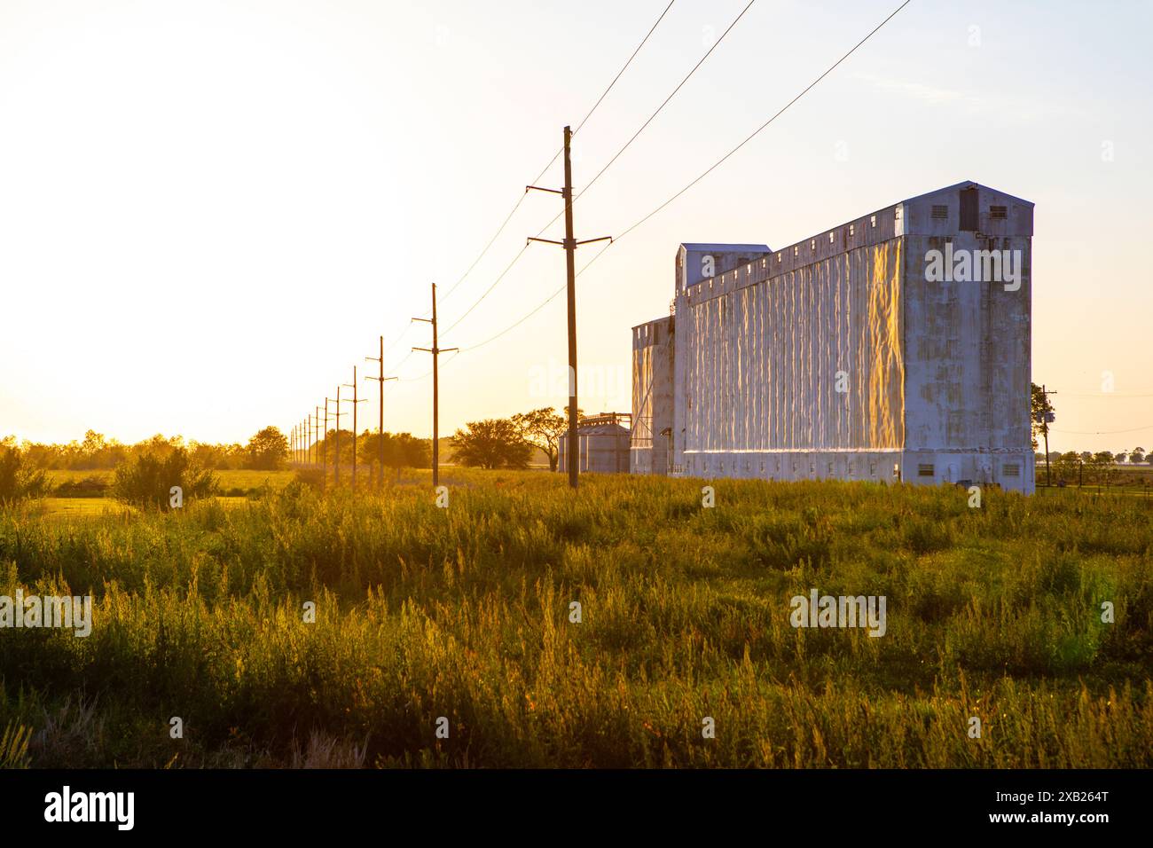 Rice silo in Jennings, Louisiana Stock Photo - Alamy