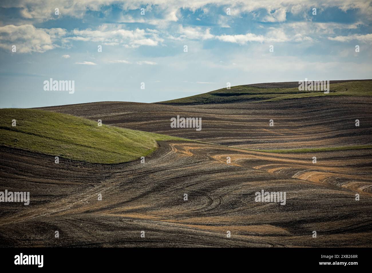 Farm Land Art of Whitman County Washington Stock Photo - Alamy