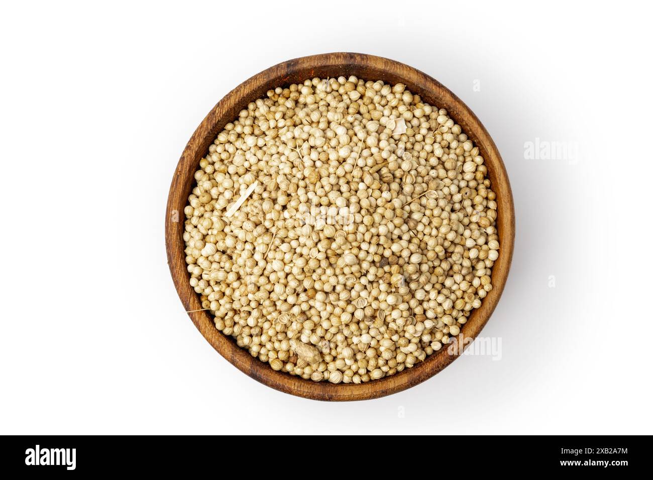 dried coriander seeds in wooden bowl, isolated in white background, concept of spice catalog ...