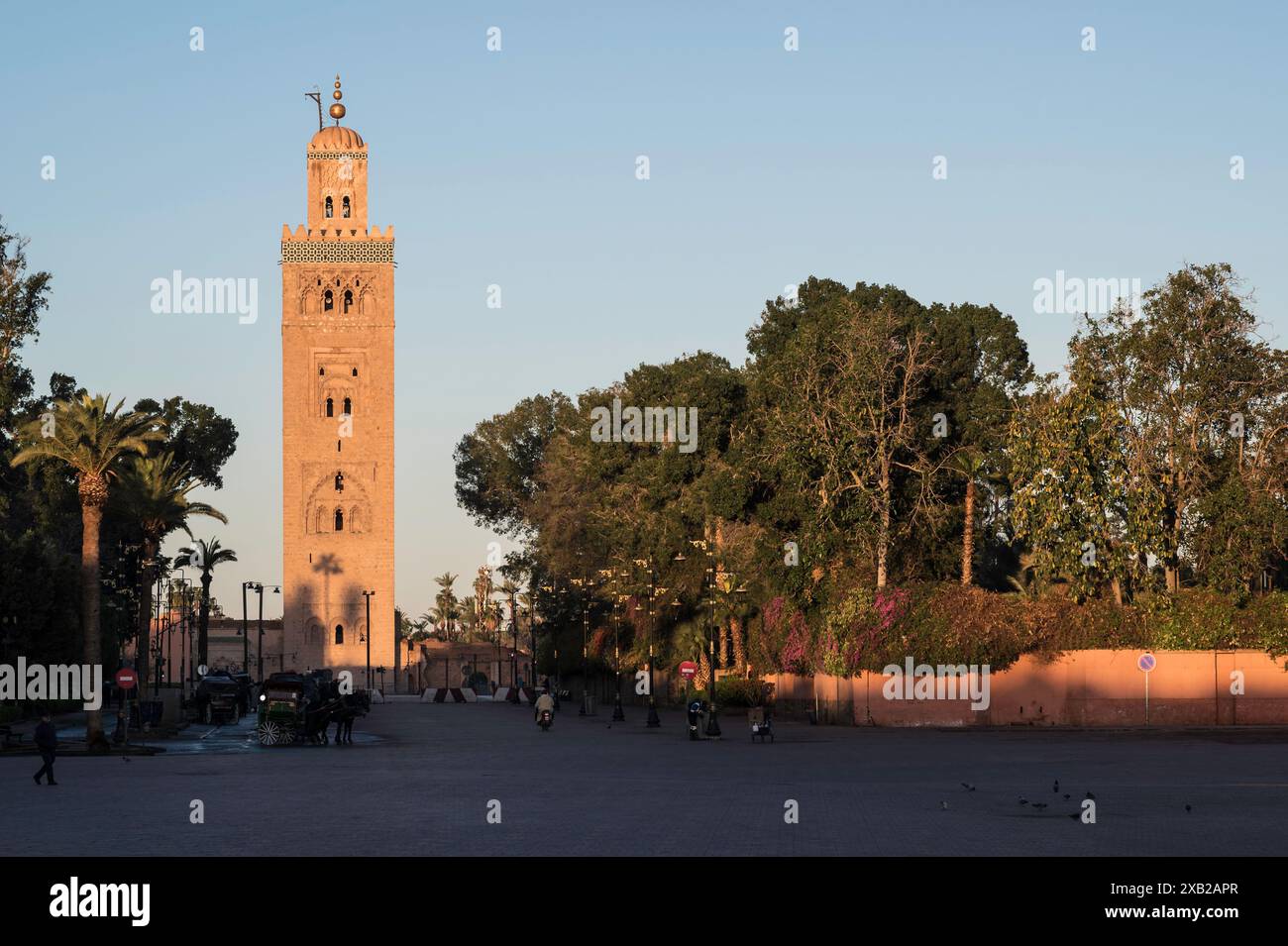 The symbol of Marrakesh Morocco, mosque located near the famous square ...