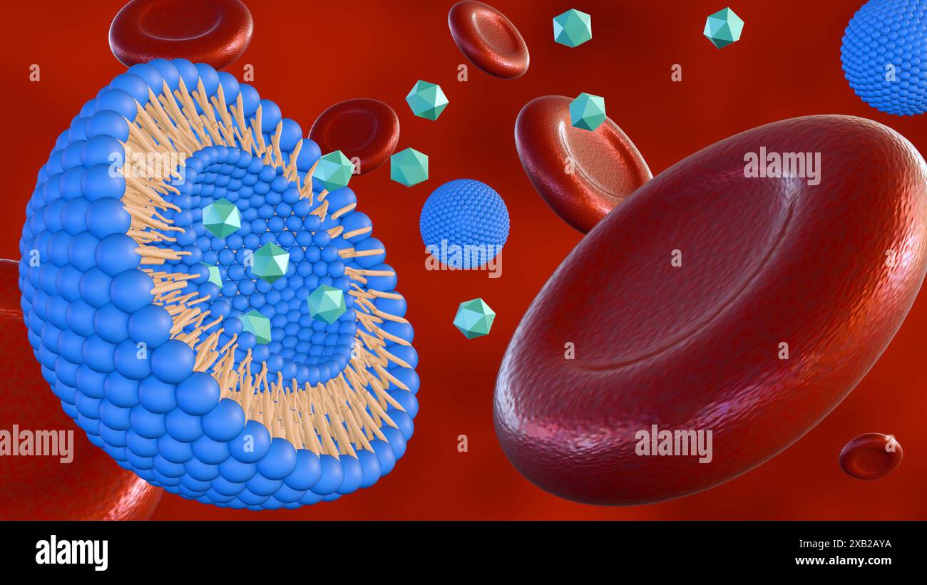 3d rendering of liposome inside of blood vessel with red blood cells ...