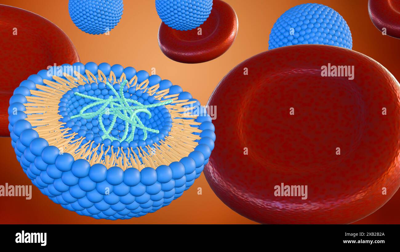 3d rendering of liposome inside of blood vessel with red blood cells ...