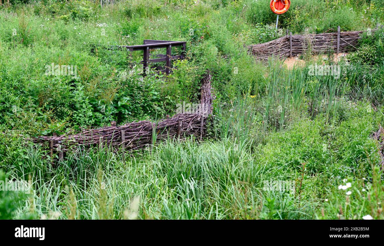 Viewing platform at the urban wildlife sanctuary of Northcote Nature ...