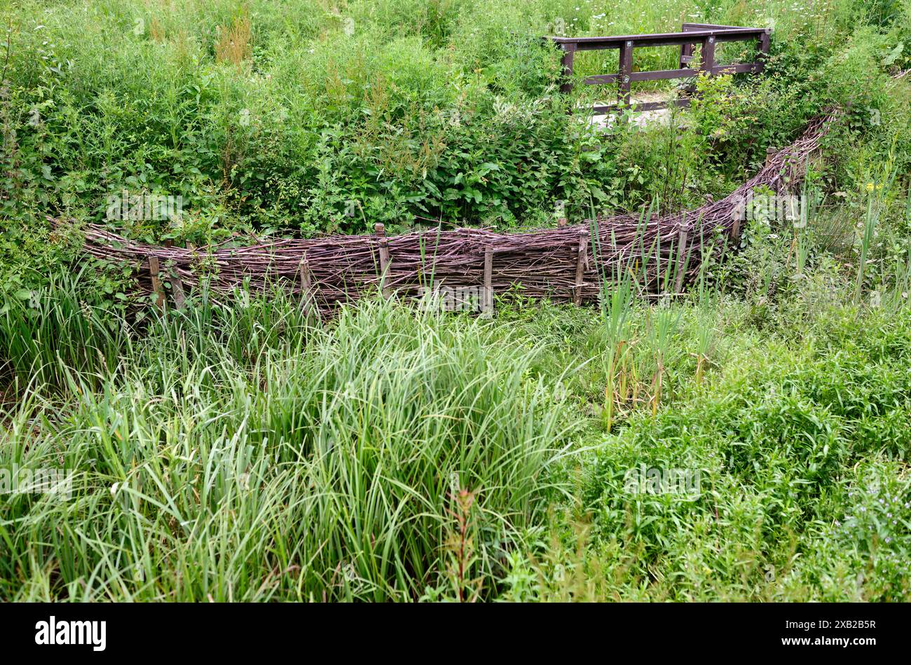 Viewing platform at the urban wildlife sanctuary of Northcote Nature ...
