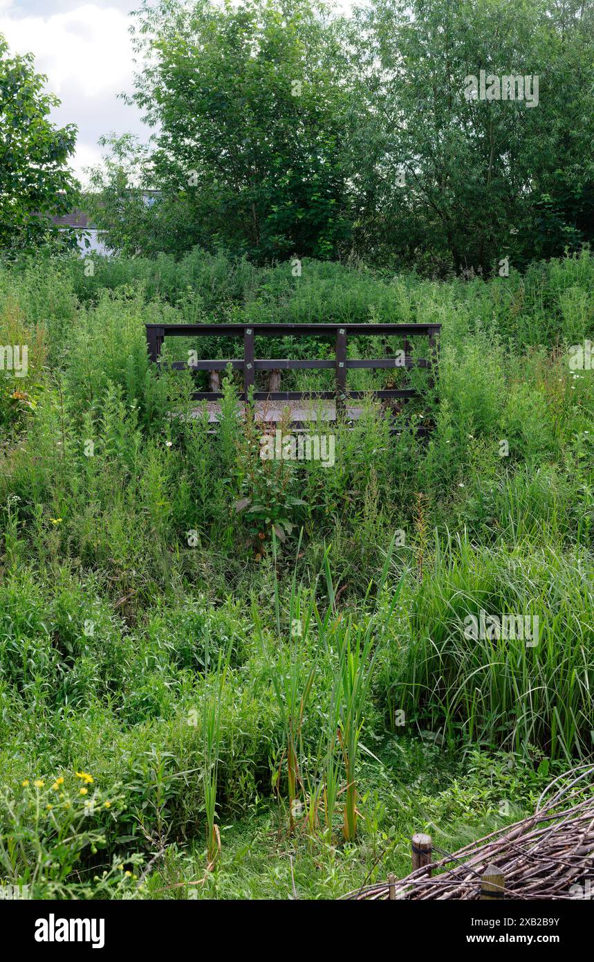 Viewing platform at the urban wildlife sanctuary of Northcote Nature ...