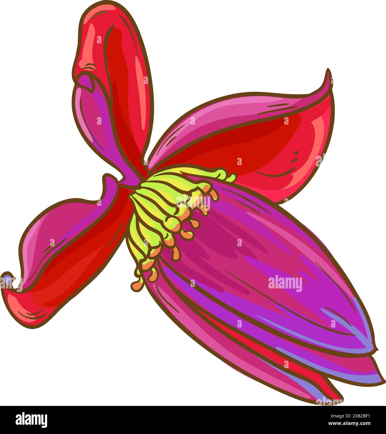 Banana flowers Cut Out Stock Images & Pictures - Alamy