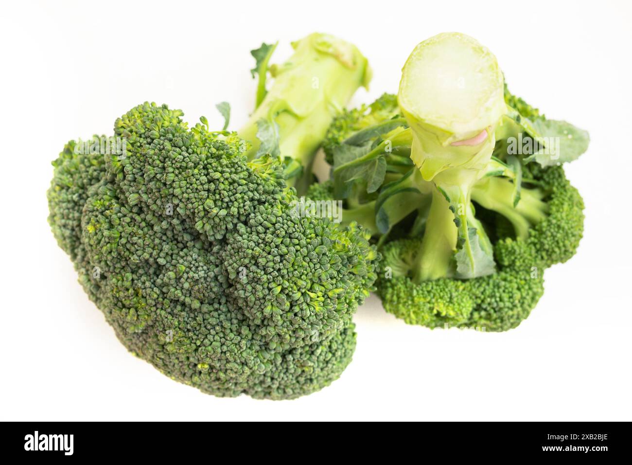 Fresh broccoli and florets on white background Stock Photo - Alamy