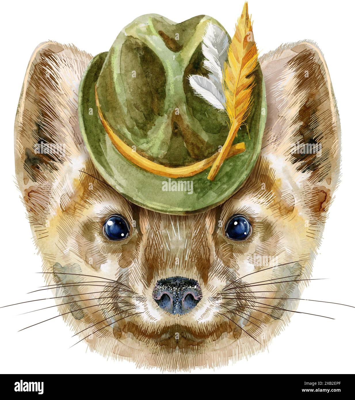 Small, funny, brown sable in green hat, isolated image, illustration ...