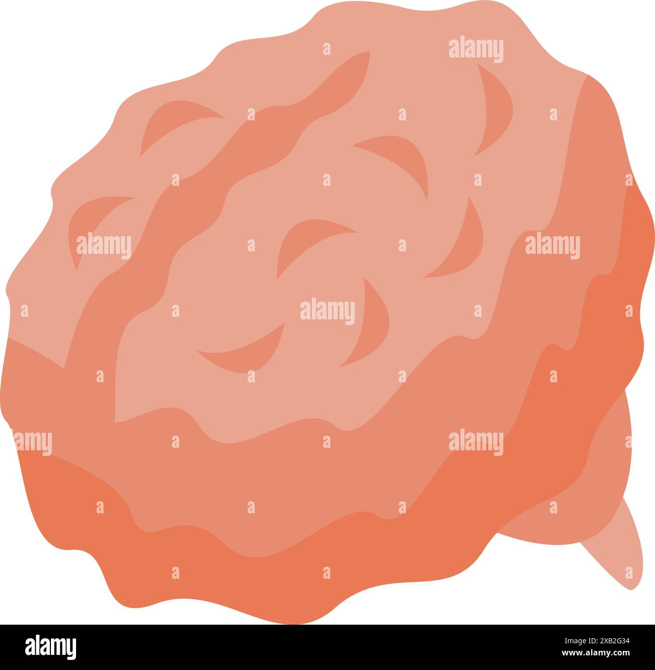 Detailed illustration of a human brain, highlighting its intricate ...