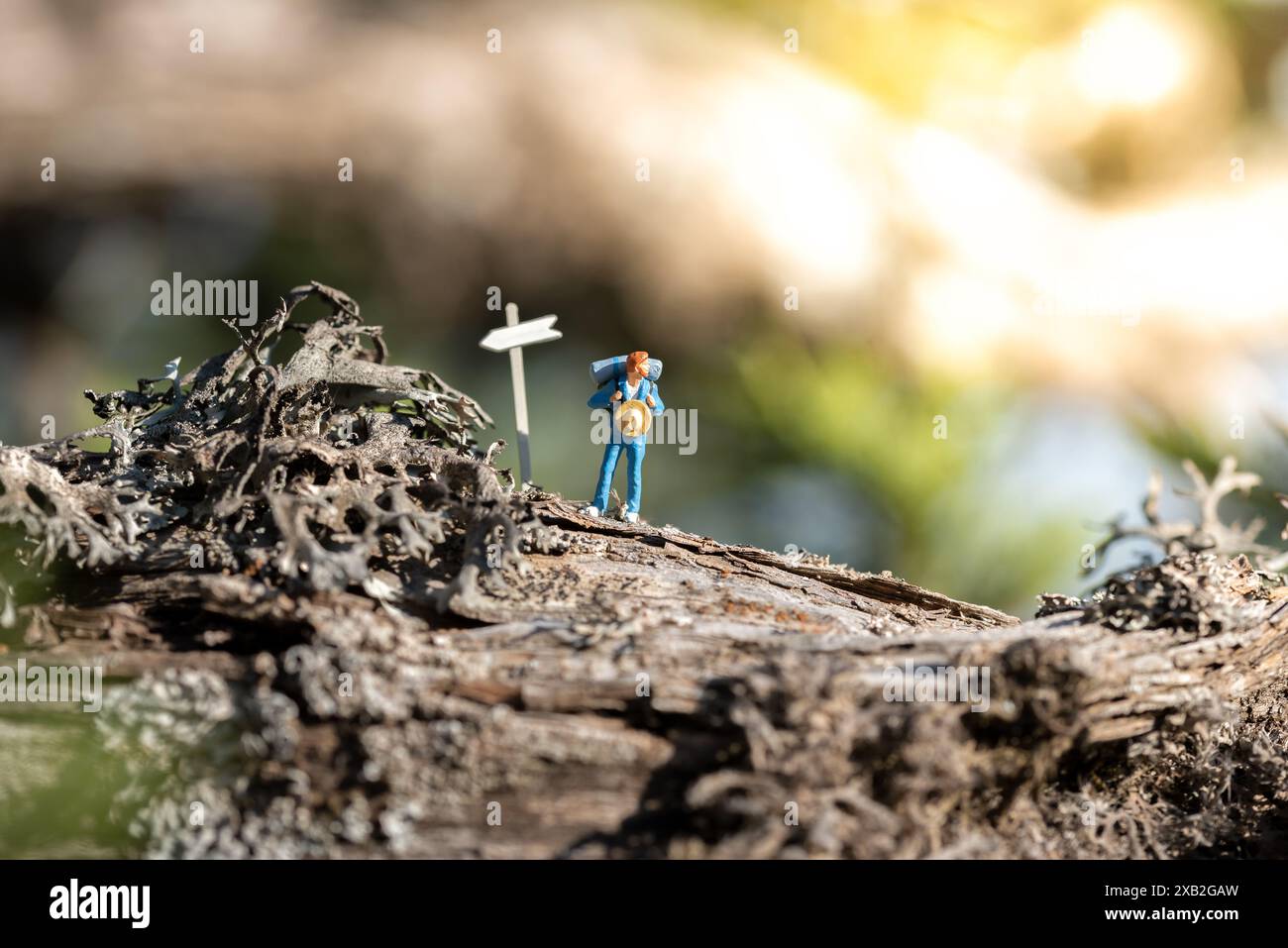 Small figure of an explorer stands on rugged natural wood, evoking ...