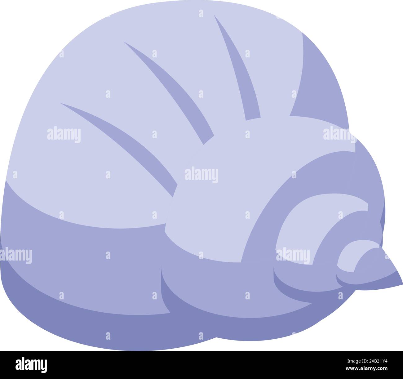 Purple shell lying with spiral structure and wavy lines detailing the ...