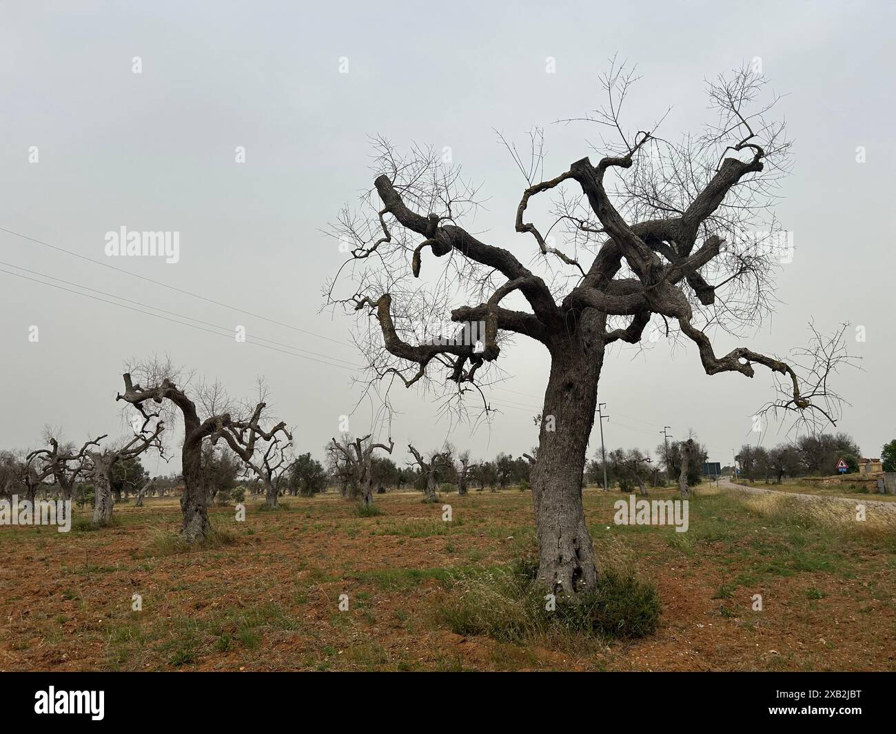 Nardo italy hi-res stock photography and images - Alamy