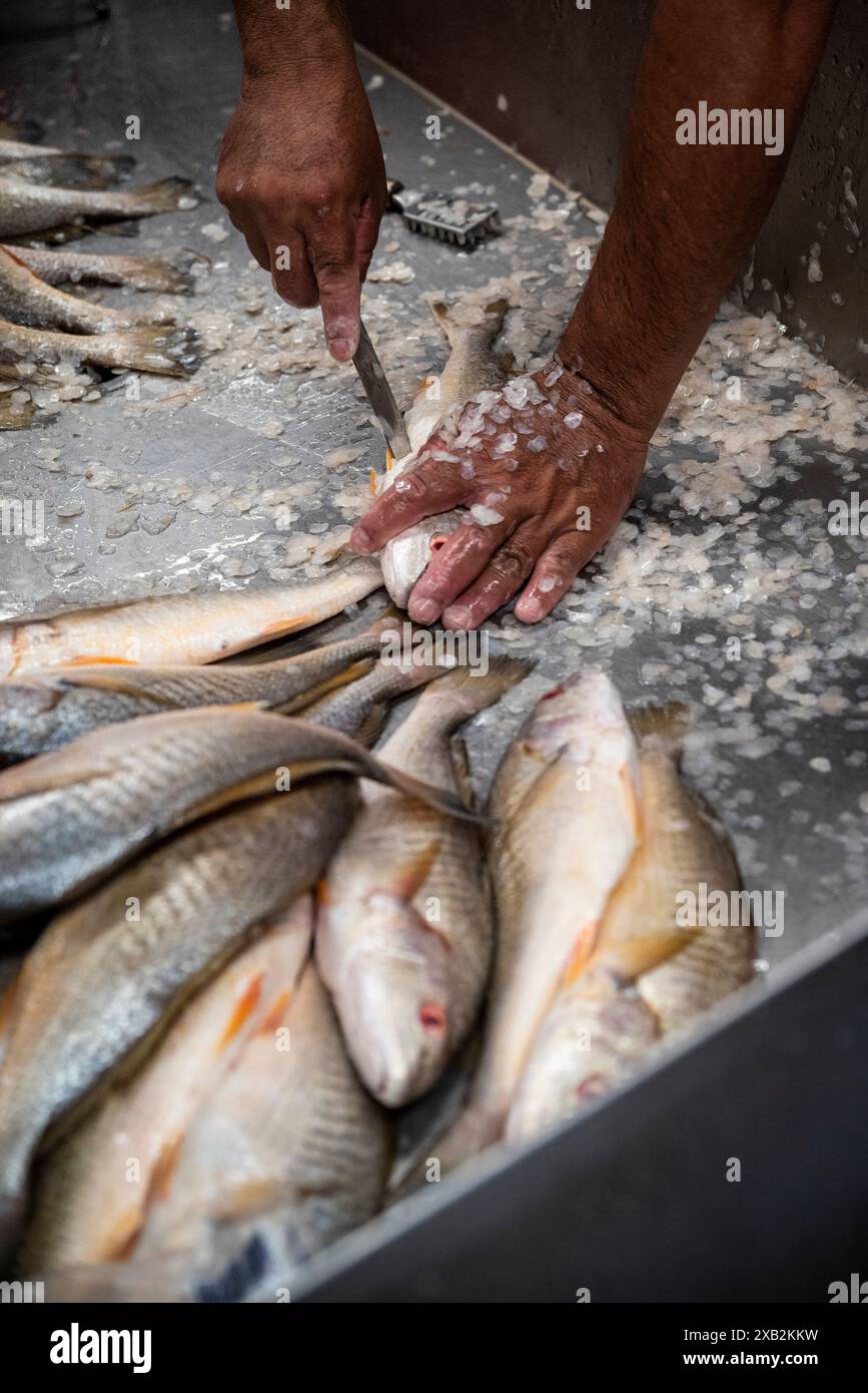 Man descaling fish at the Fish market in La Libertad, a town in El ...