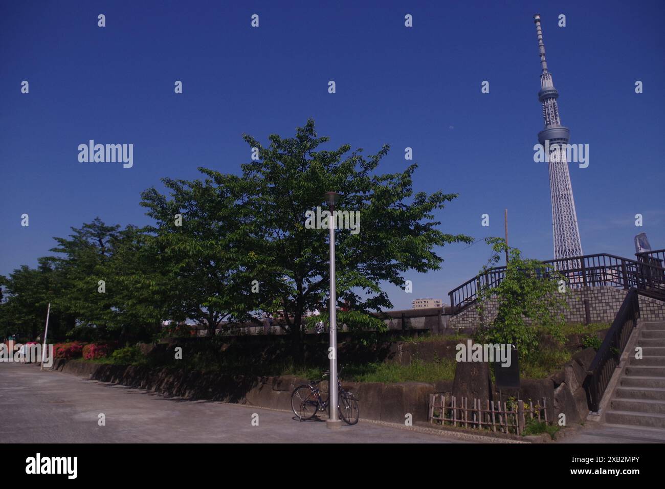 Tokio sky tree hi-res stock photography and images - Alamy